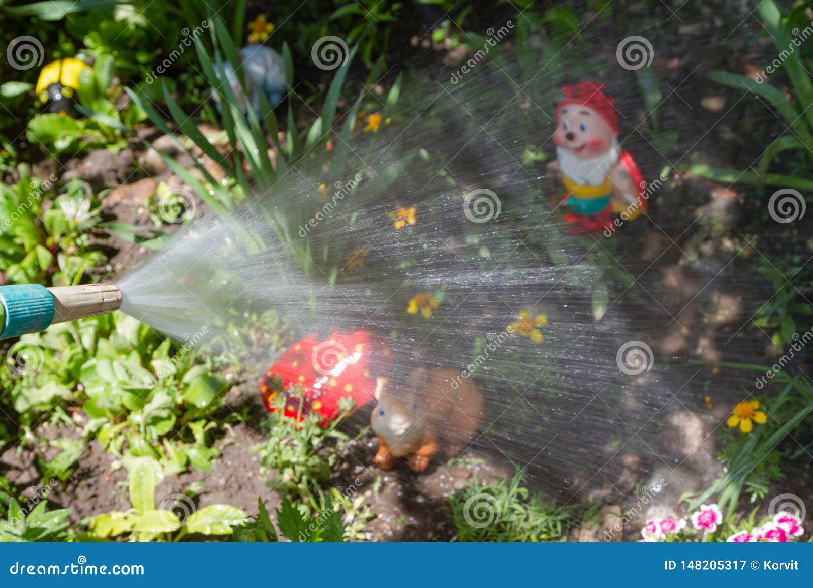 Sprayed water from a hose stock image. Image of environment - 148205317