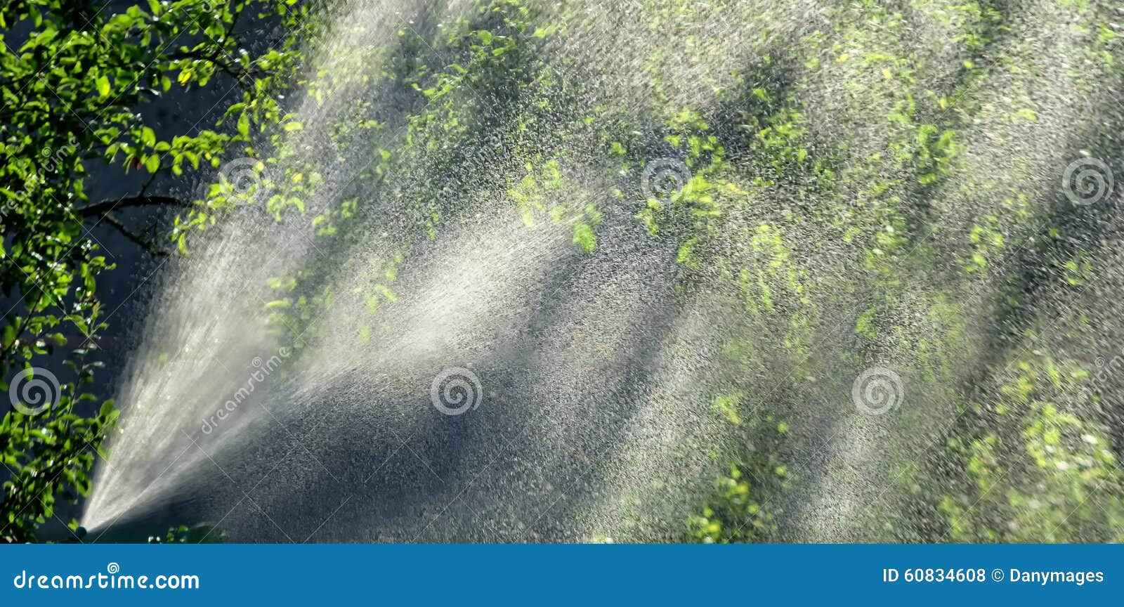 Water spraying stock photo. Image of splashing, freshness - 60834608