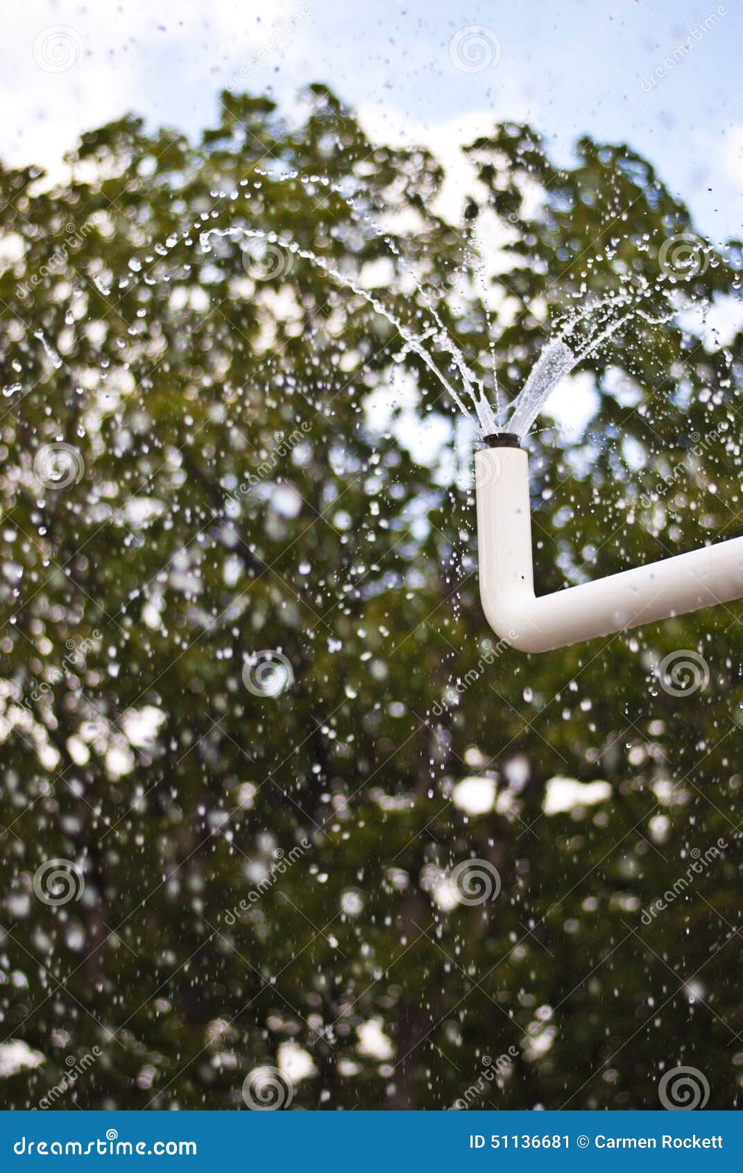 Water Spraying stock image. Image of drop, sprinkler - 51136681