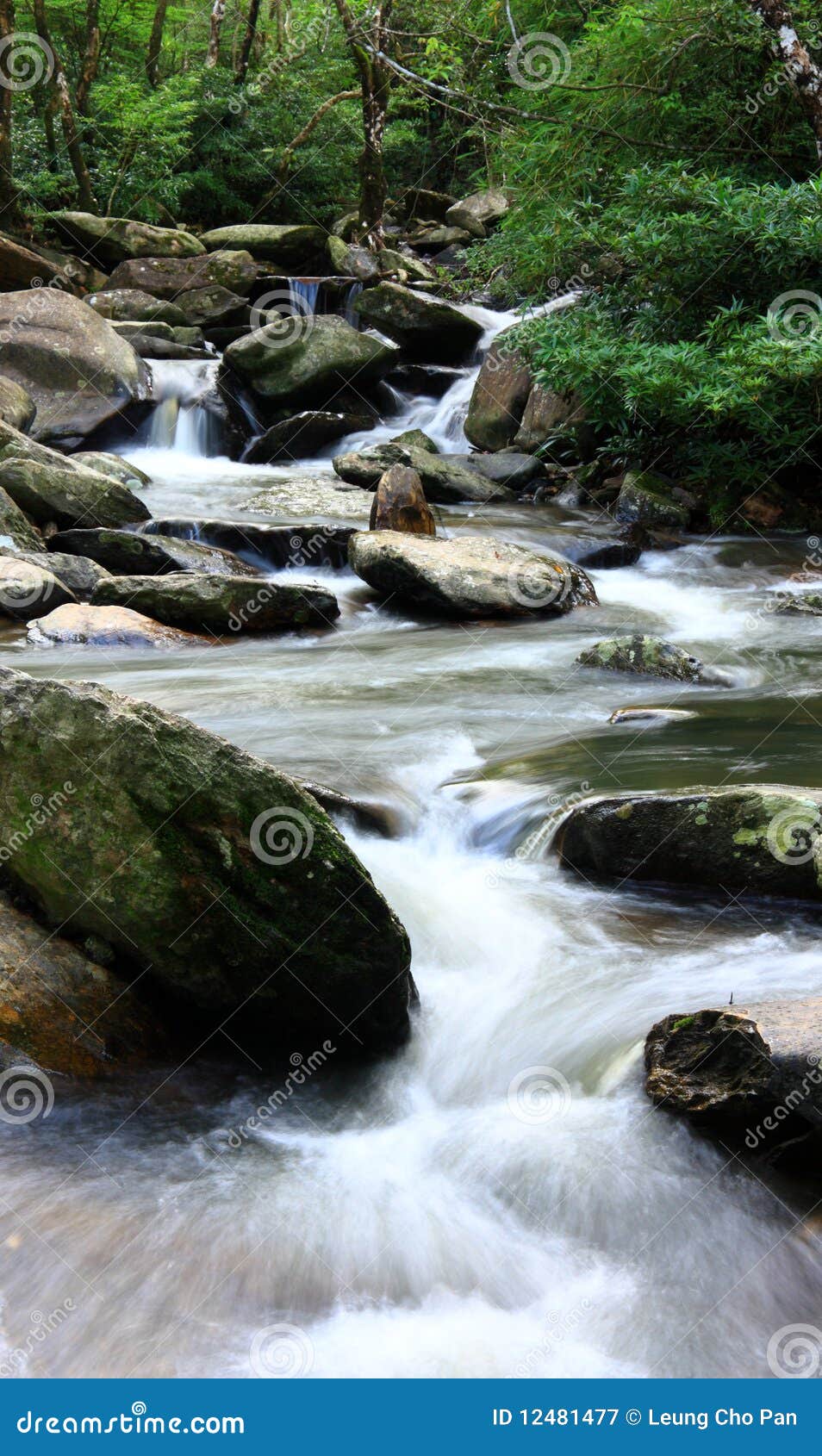 Water spring stock image. Image of flow, landscape, clean - 12481477