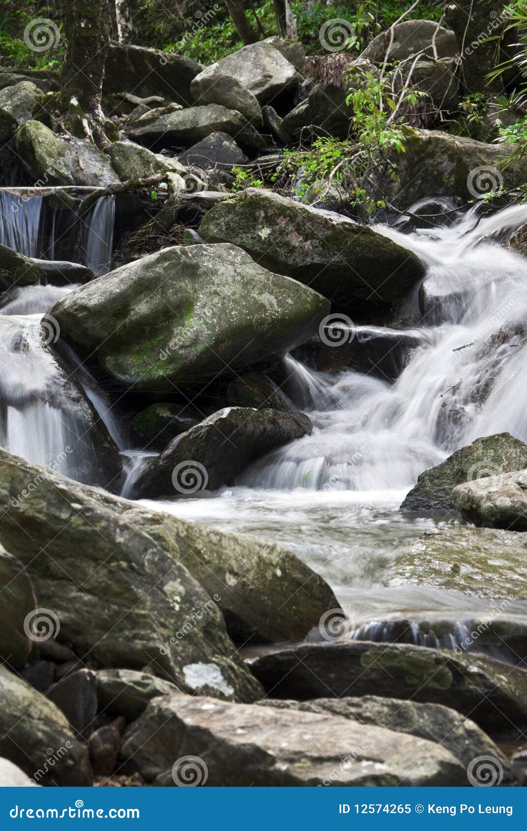 Water spring stock image. Image of landscape, high, jungle - 12574265