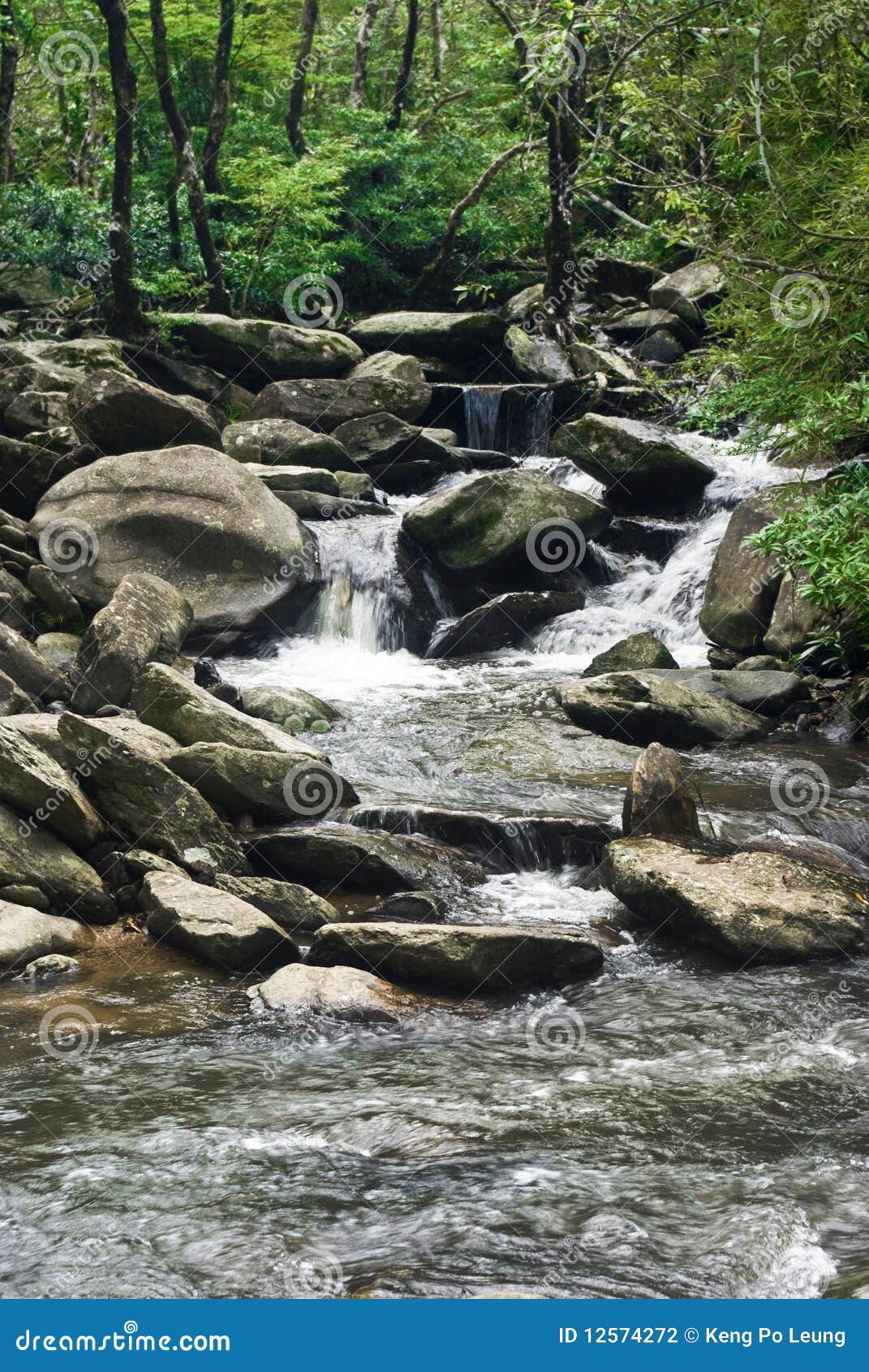 Water spring stock photo. Image of beauty, high, clean - 12574272