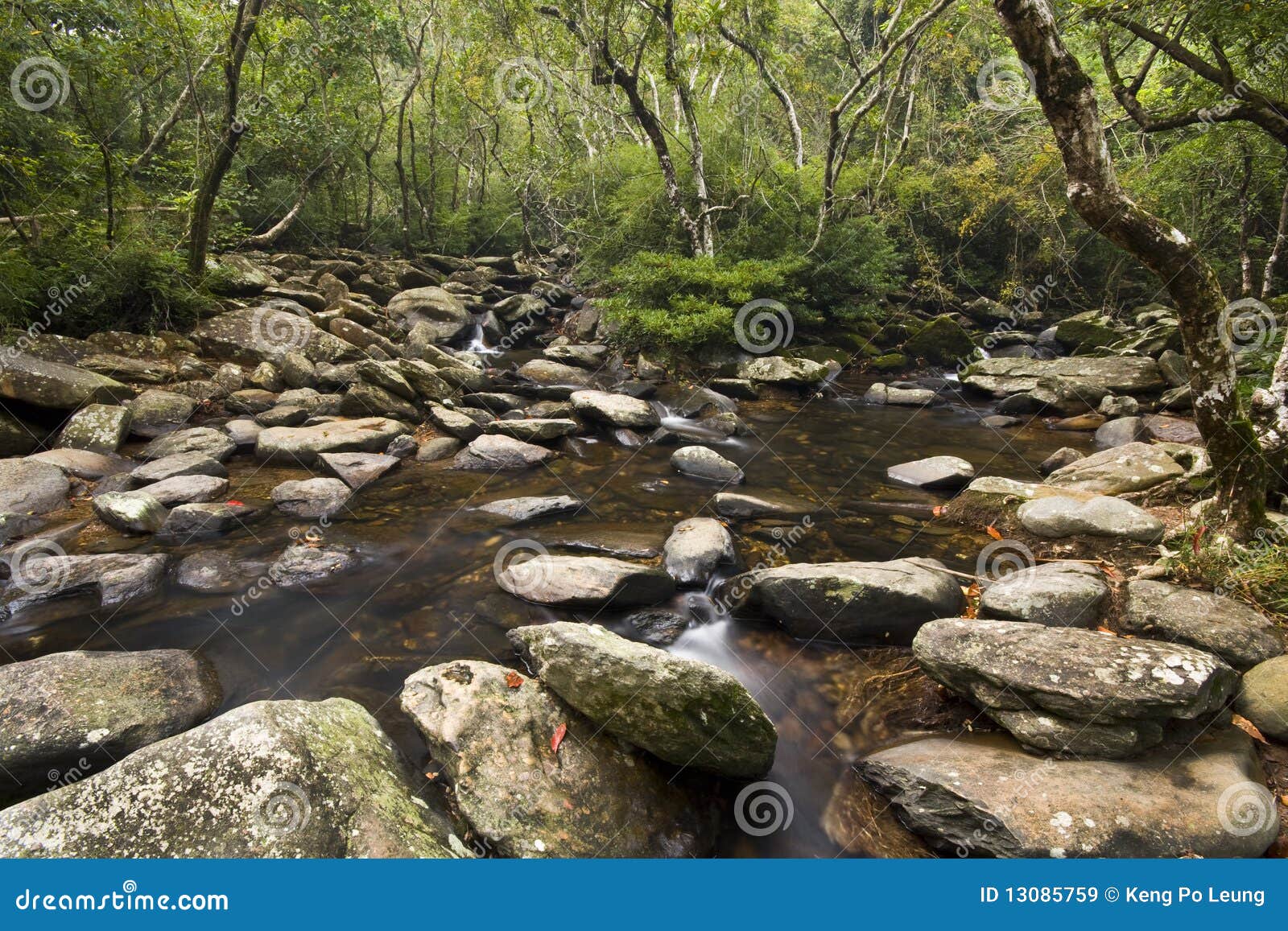 Water spring stock image. Image of power, background - 13085759