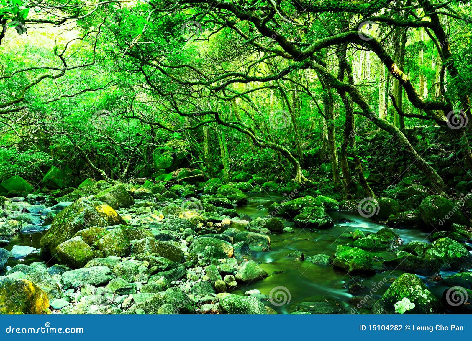 Water spring stock photo. Image of healthy, lifestyle - 15104282