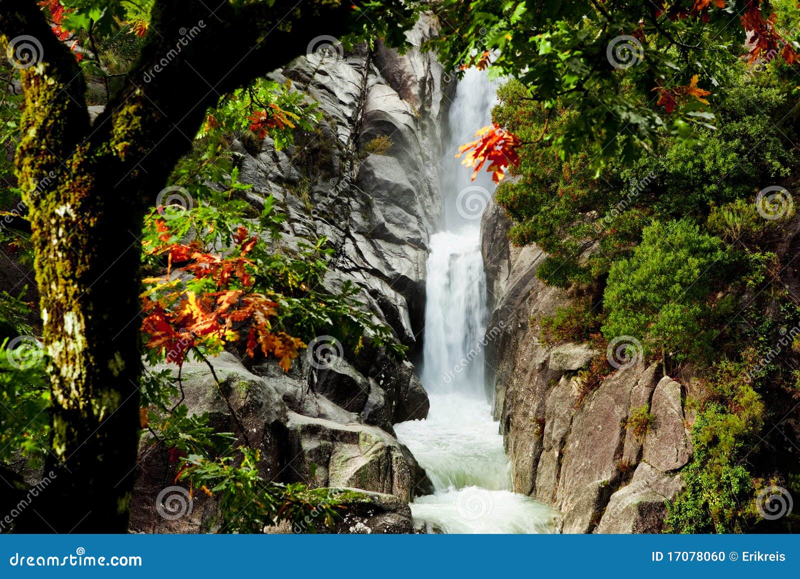 Water Spring stock photo. Image of mountain, outdoor - 17078060