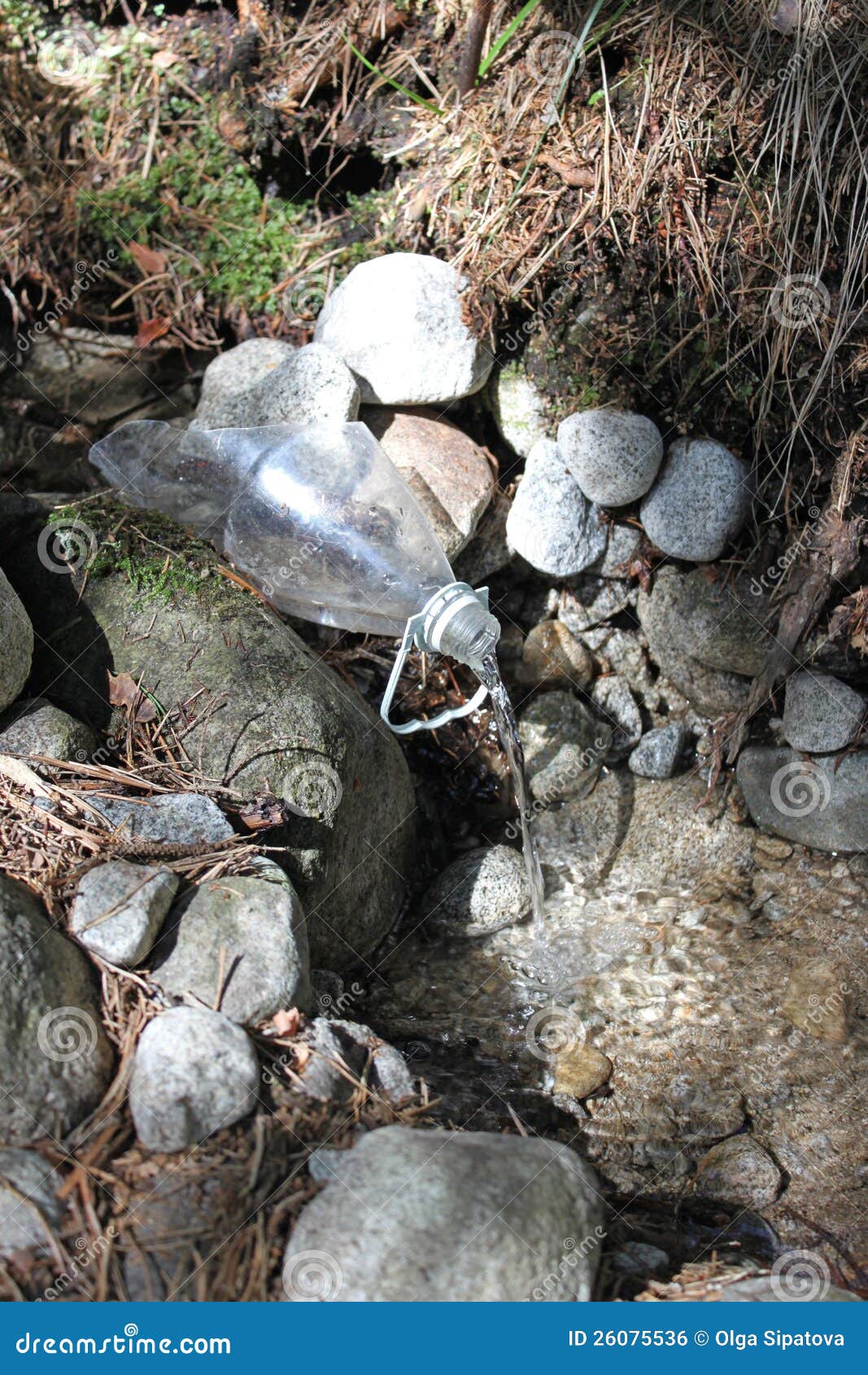 Water Spring stock photo. Image of plants, ecological - 26075536