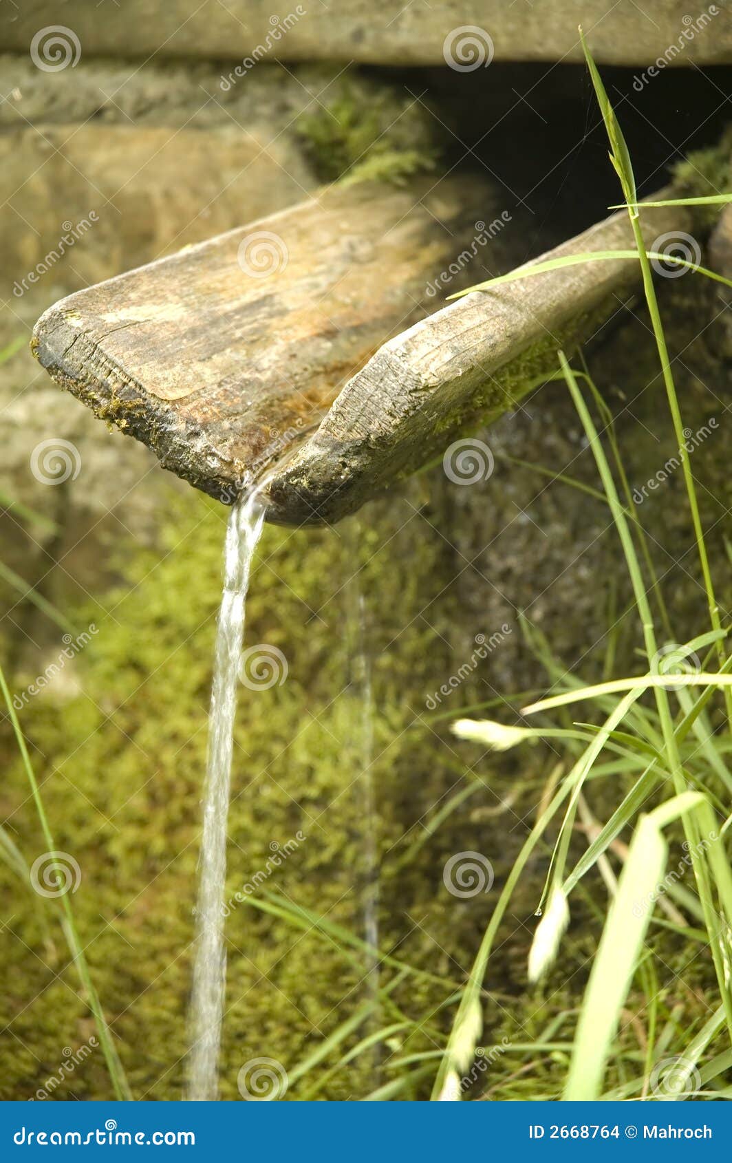 Water spring stock photo. Image of environment, lush, moss - 2668764