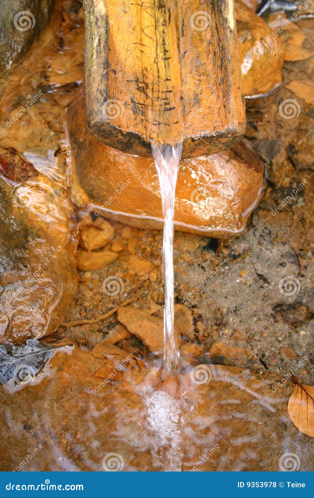 Water spring stock photo. Image of relaxing, fluid, wooden - 9353978