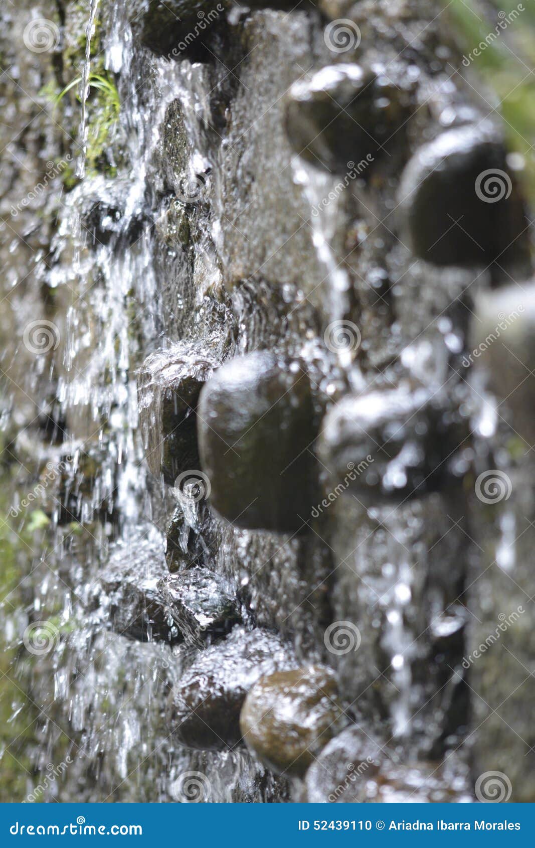 Water spring stock photo. Image of plants, nature, outdoor - 52439110