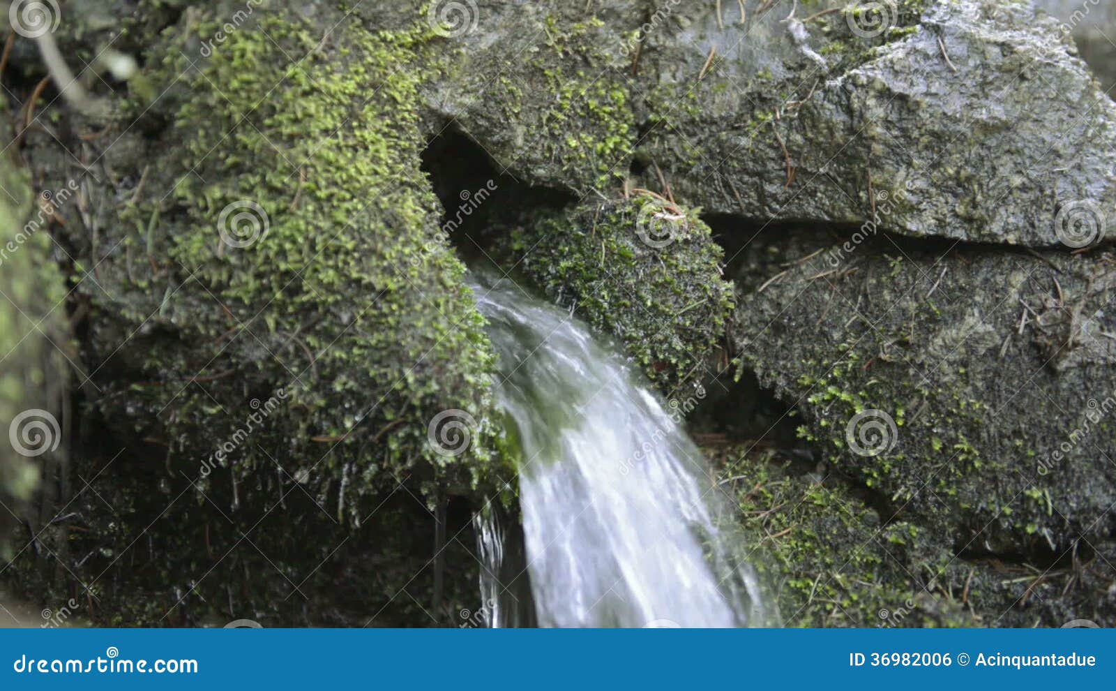 Water Spring Coming from Rocks Stock Video - Video of environment, flow ...