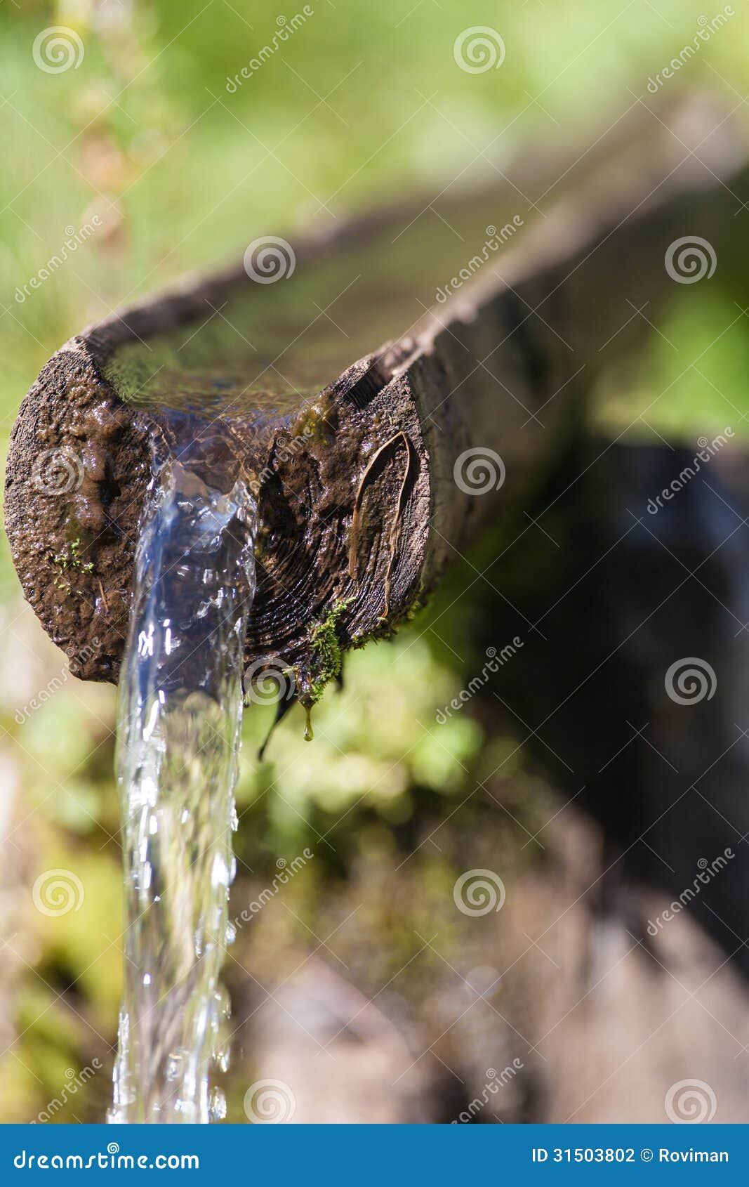 Water in spring stock photo. Image of slovakia, fresh - 31503802