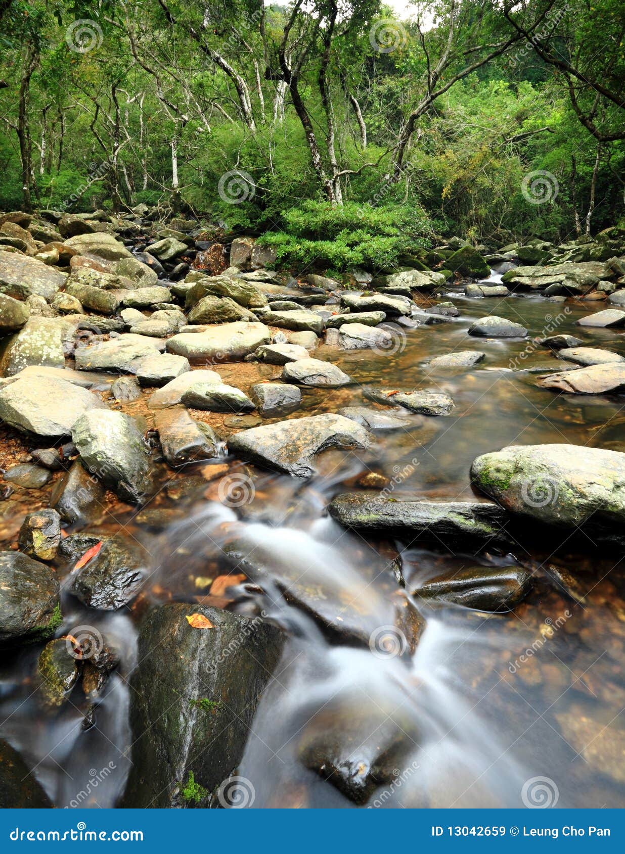 Water spring in forest stock image. Image of fall, glass - 13042659
