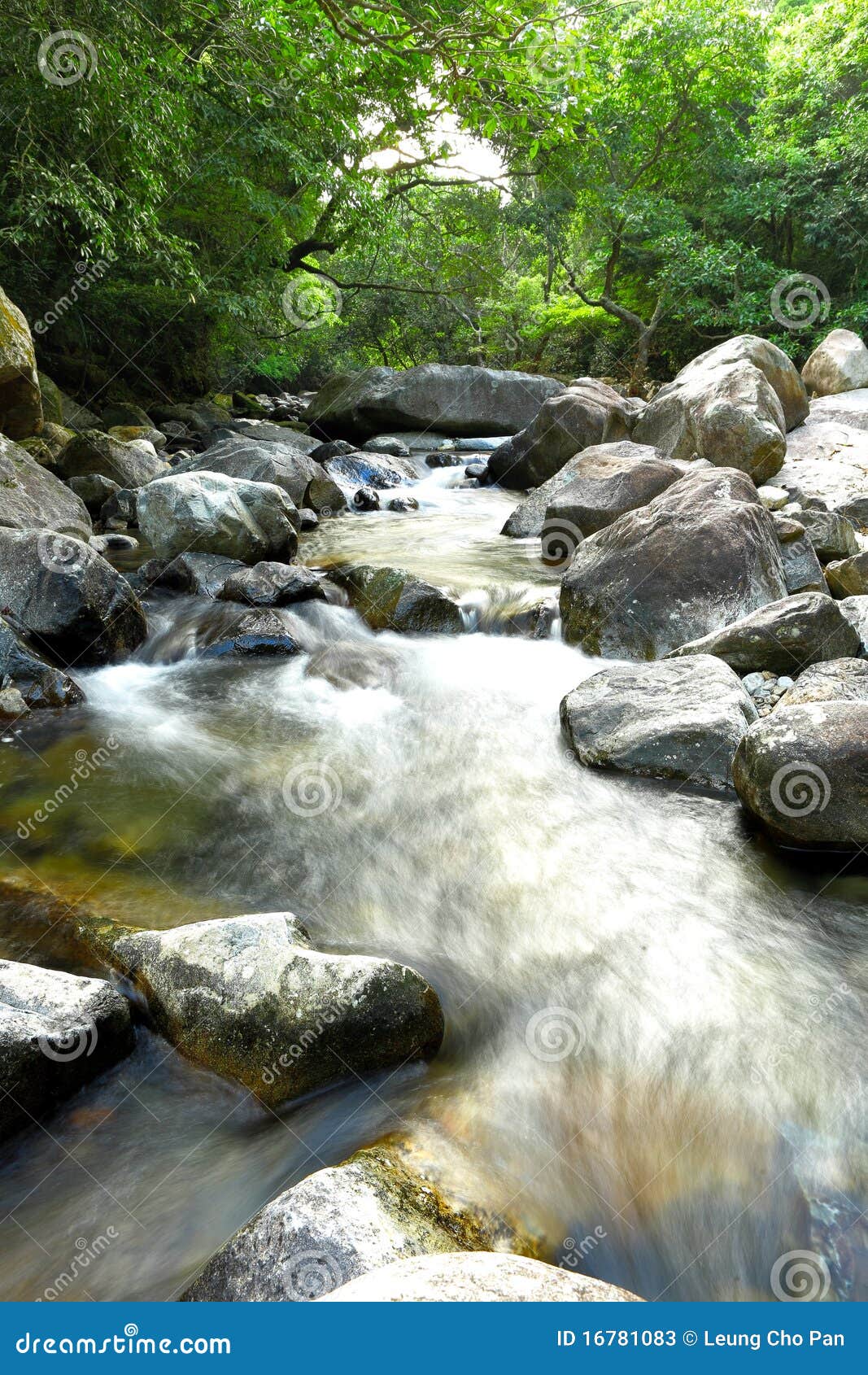 Water spring in forest stock image. Image of high, fresh - 16781083