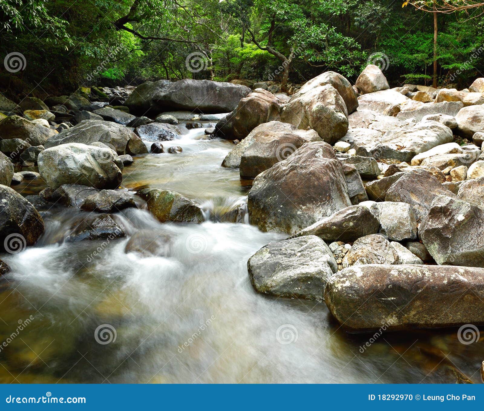 Water spring in forest stock photo. Image of glass, forest - 18292970