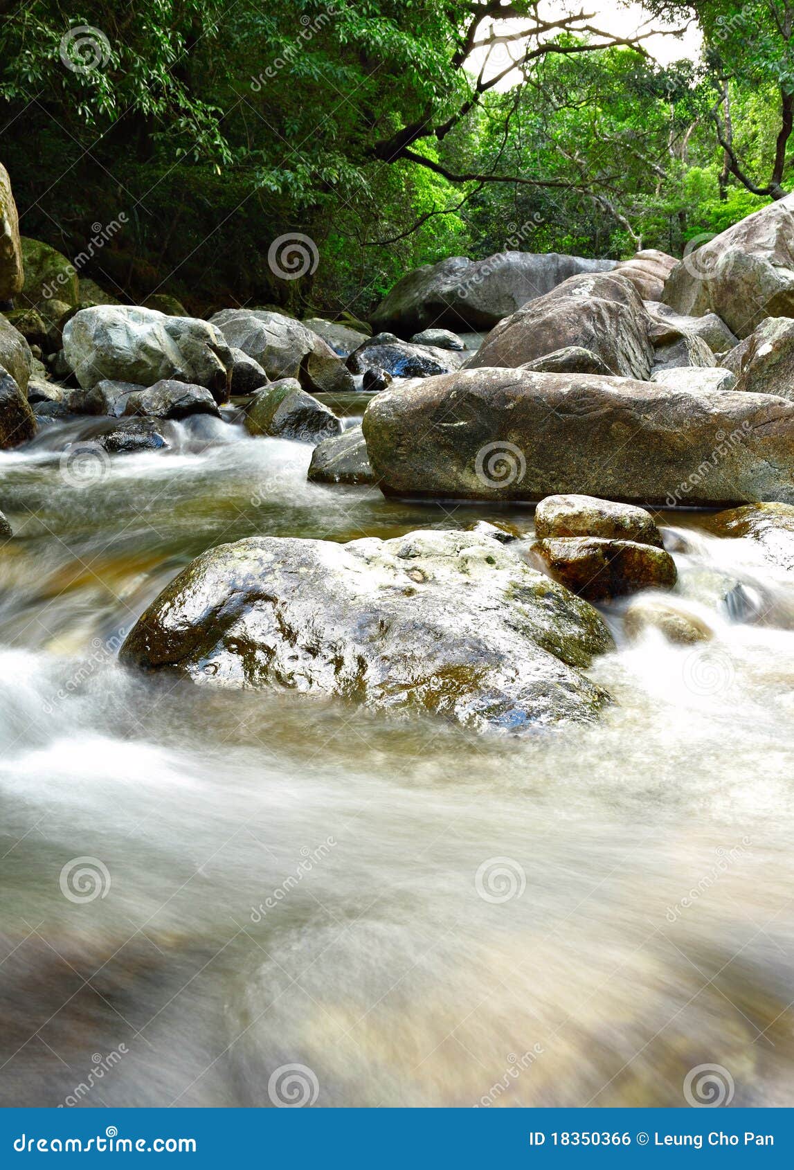 Water spring in forest stock photo. Image of nature, splash - 18350366