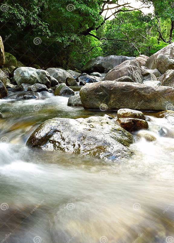 Water spring in forest stock photo. Image of nature, splash - 18350366