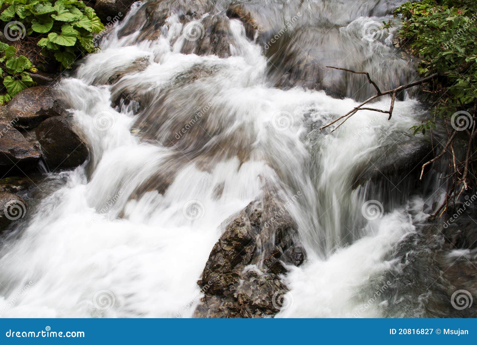 Water spring in forest stock image. Image of mountain - 20816827