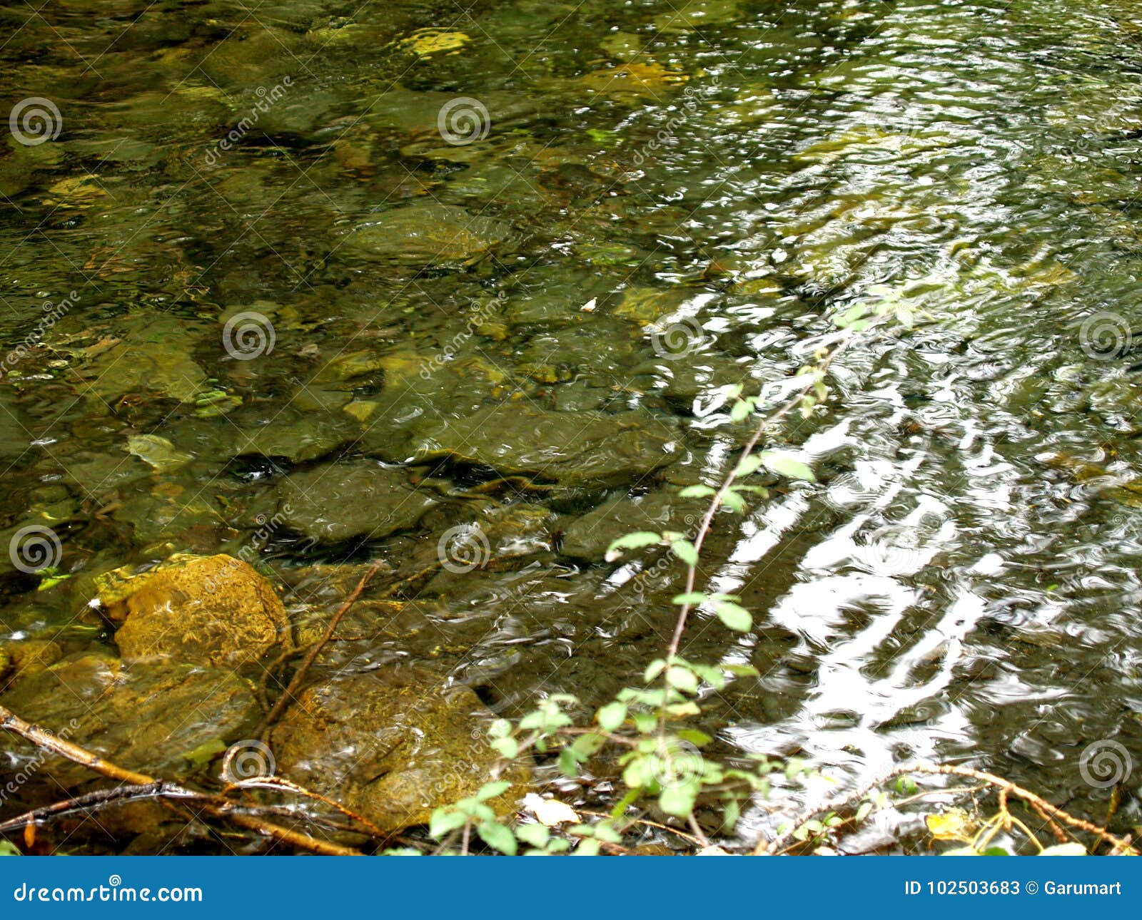 Water Spring and Green Environment Stock Image - Image of green, blue ...
