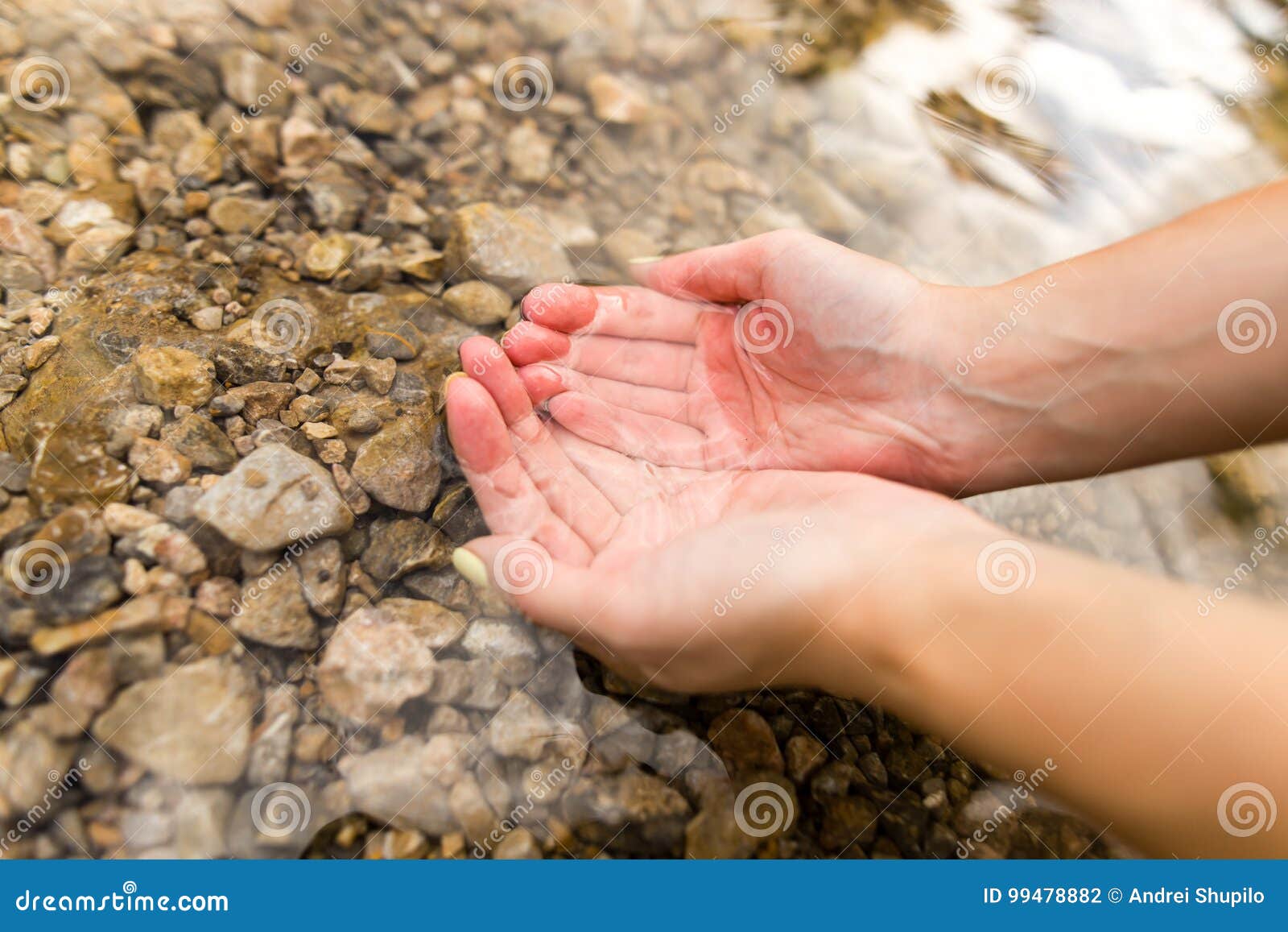 Water in the Spring in the Hands Stock Photo - Image of mountain ...