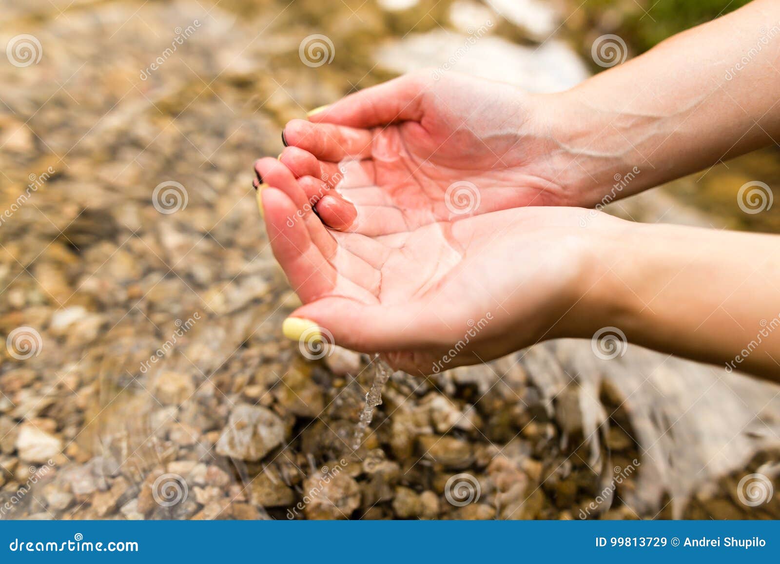 Water in the Spring in the Hands Stock Image - Image of drop, person ...
