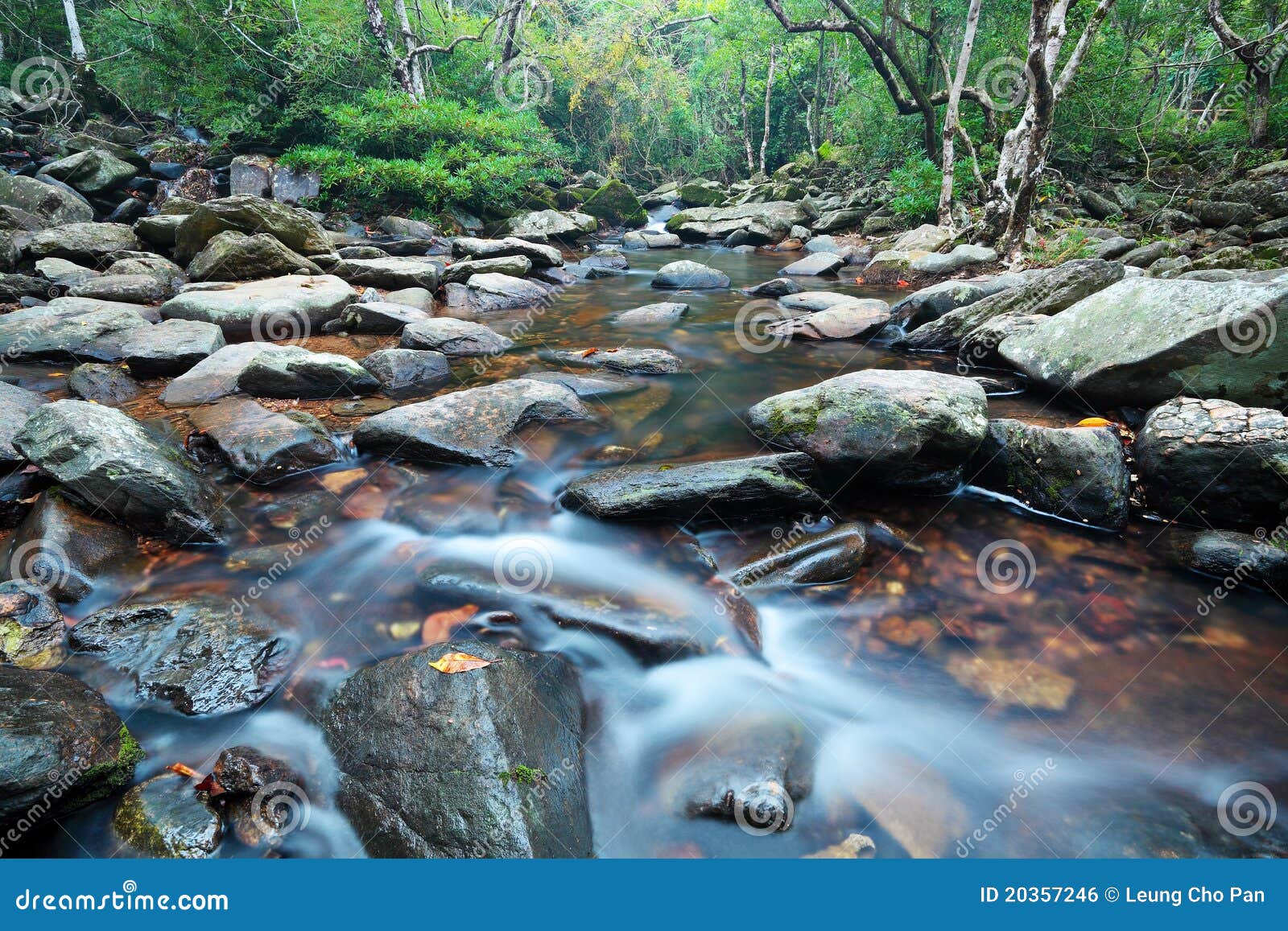 Water spring in jungle stock photo. Image of countryside - 20357246