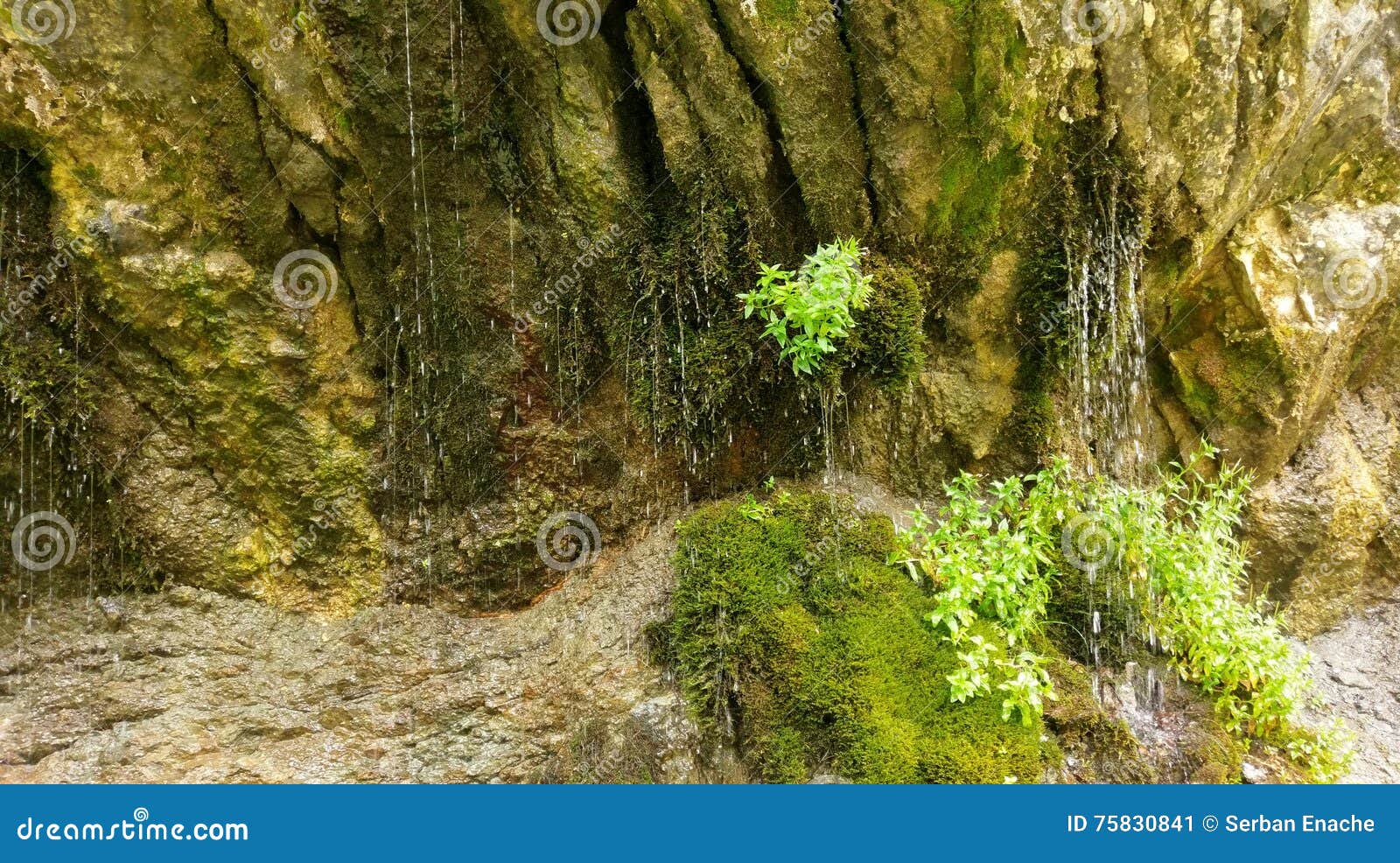 Water Spring in Mossy Rocks Stock Image - Image of europe, keys: 75830841