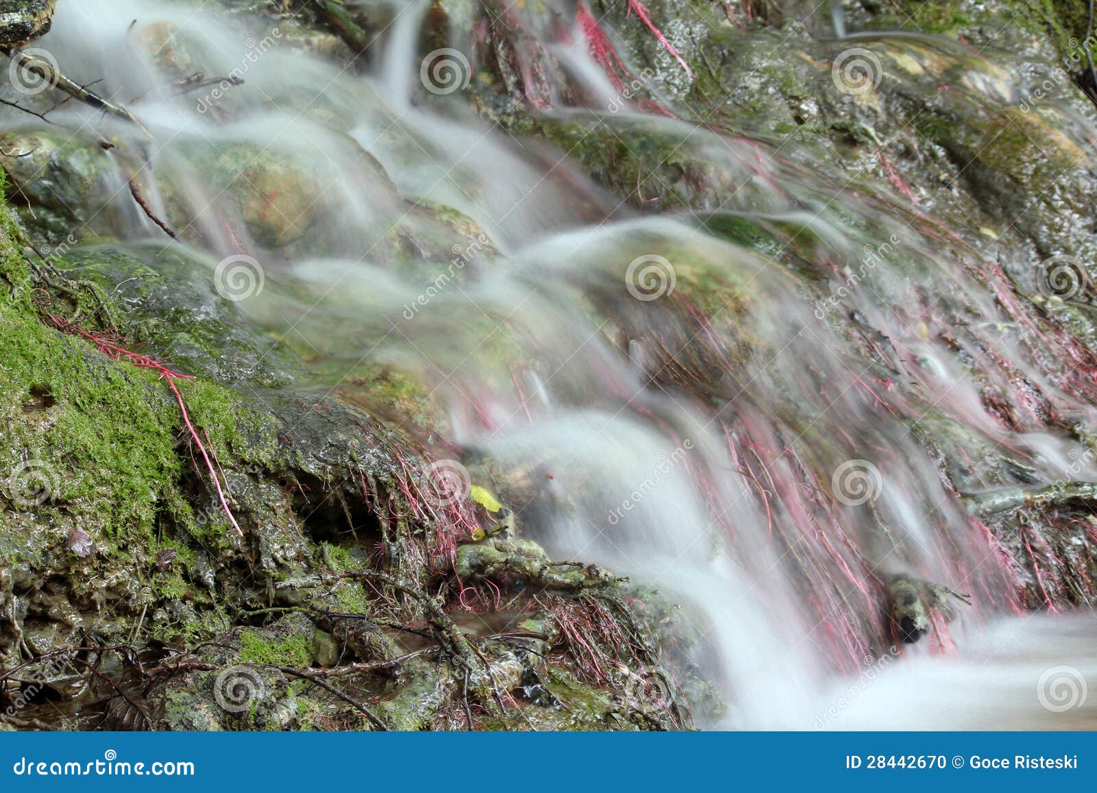 Water spring scene stock photo. Image of cascade, natural - 28442670