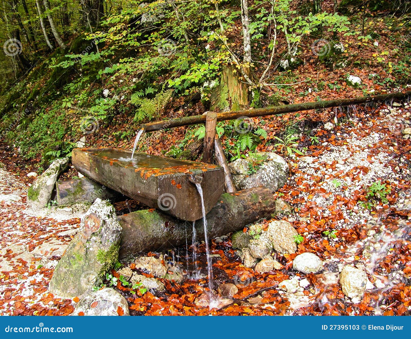 Water Spring with Wooden Channels. Stock Image - Image of channel ...