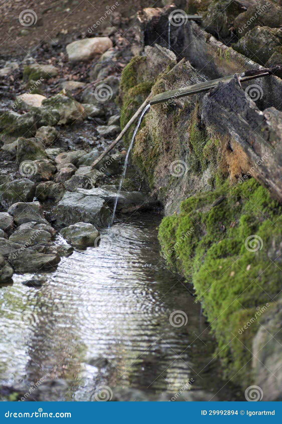 Water spring stock photo. Image of nature, forest, boulder - 29992894
