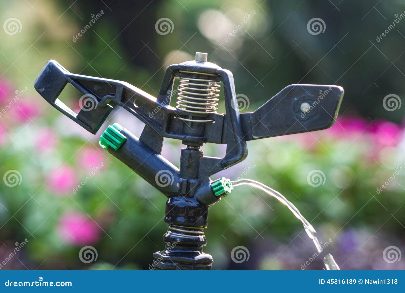 Water springer stock image. Image of moist, soak, grass - 45816189