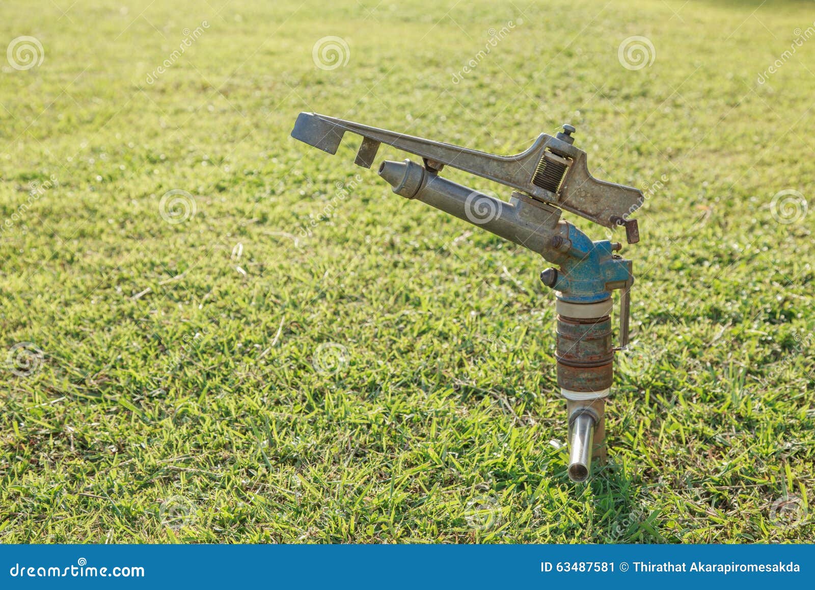 Water springer stock image. Image of fresh, garden, grass - 63487581