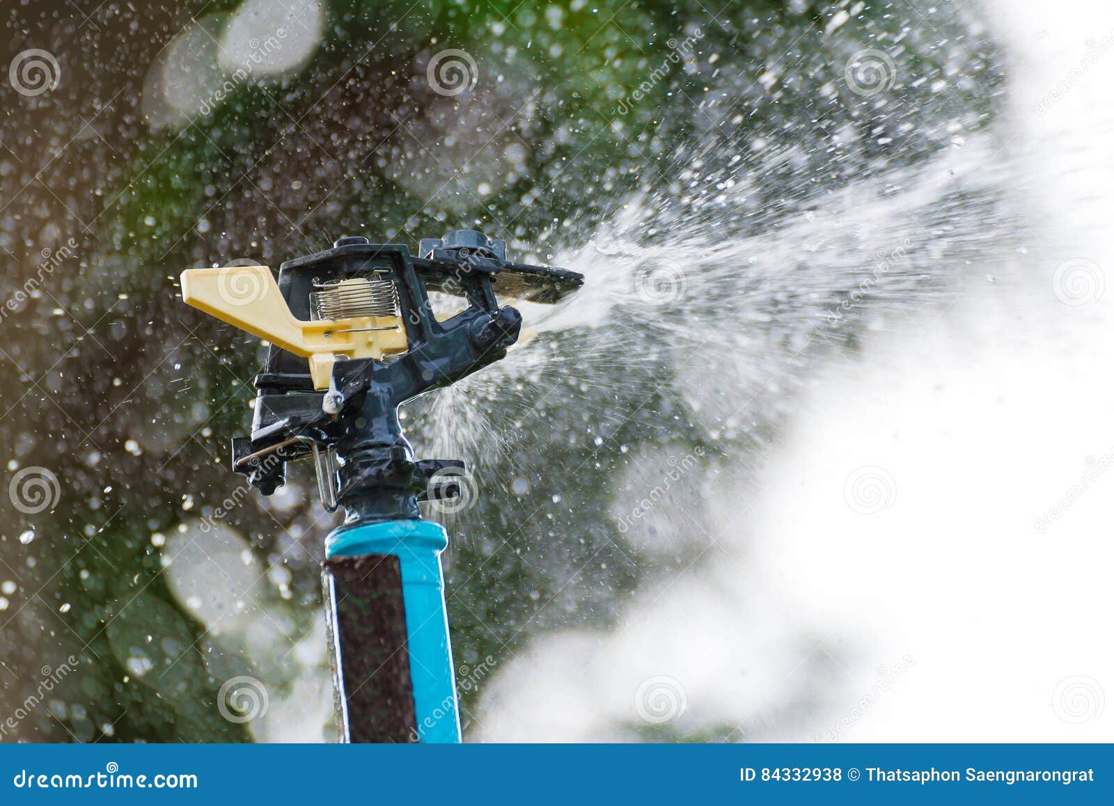 Water Springer in the Garden and Bokeh. Stock Photo - Image of fresh ...