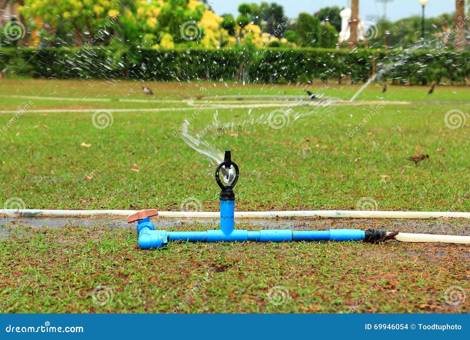 Water springer stock illustration. Illustration of field - 69946054