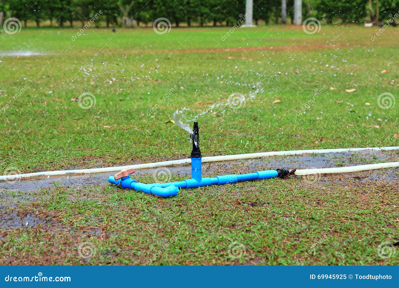 Water springer stock image. Image of pattern, environment - 69945925