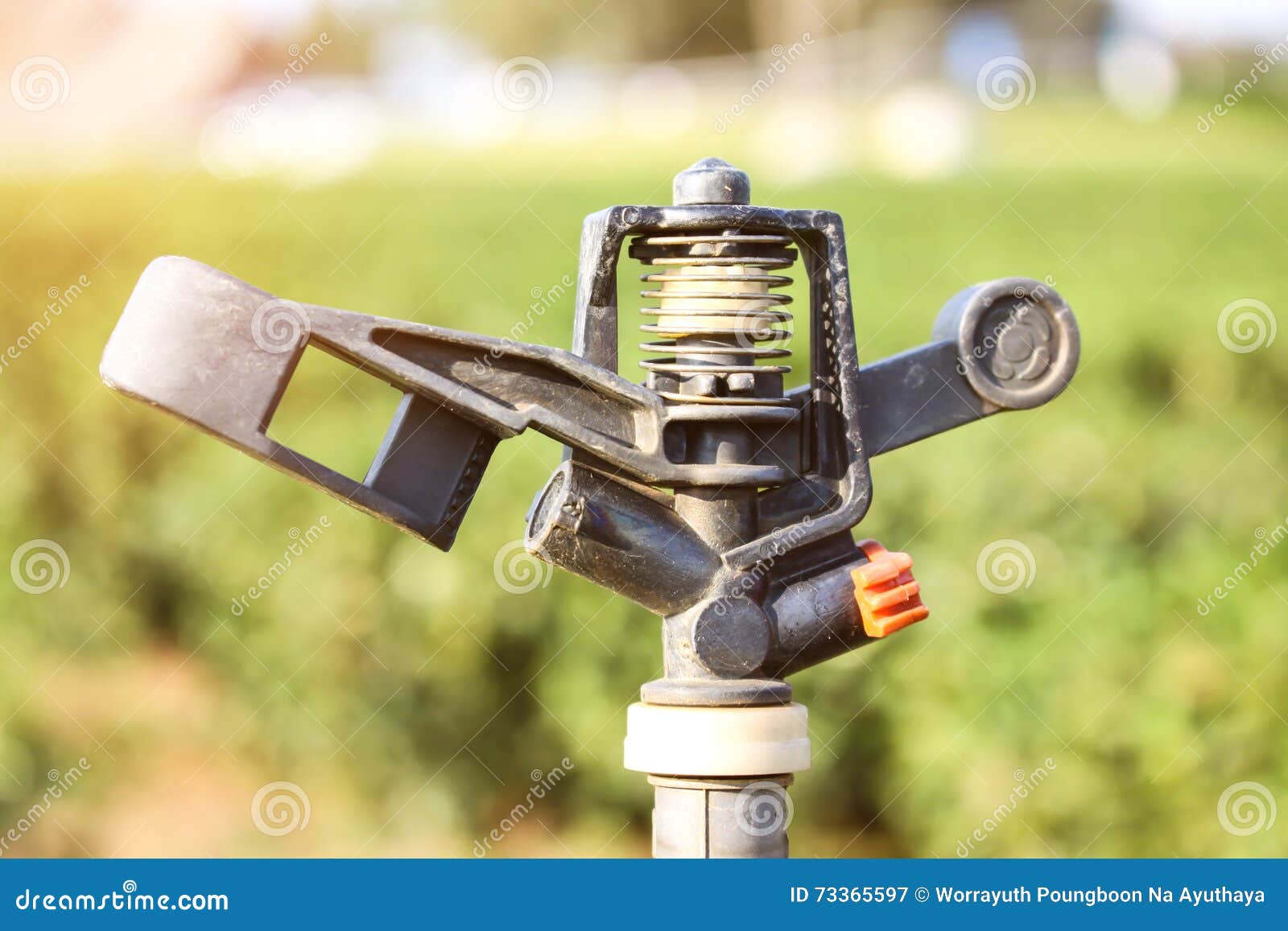Water Springer in Garden with Sunrise Stock Image - Image of master ...