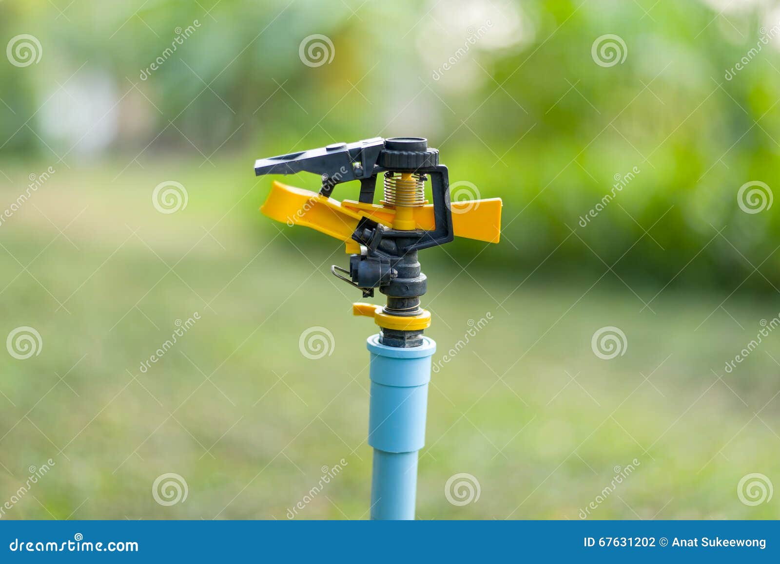 Water springer stock photo. Image of sprinkler, grass - 67631202