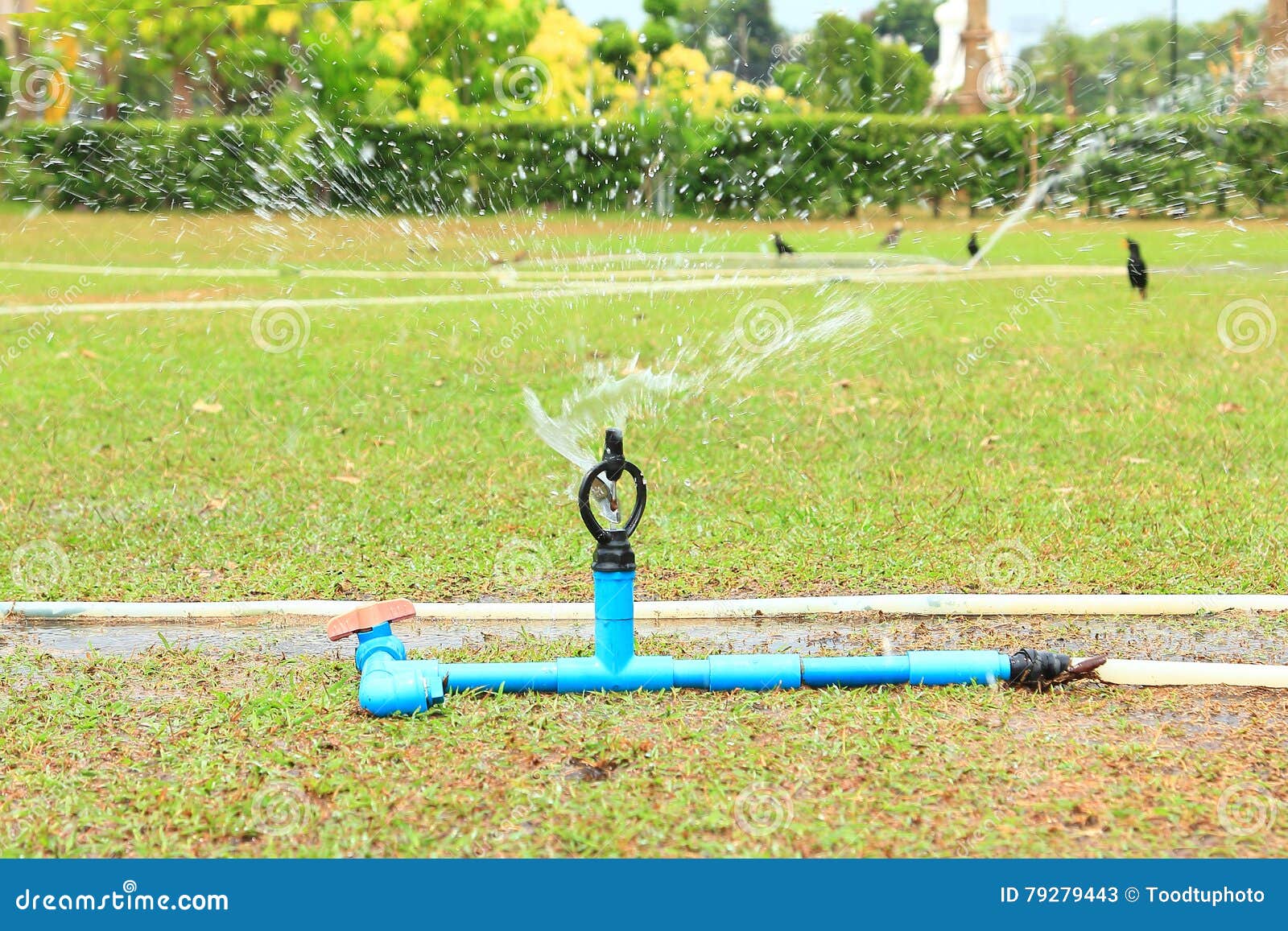 Water springer stock illustration. Illustration of splash - 79279443