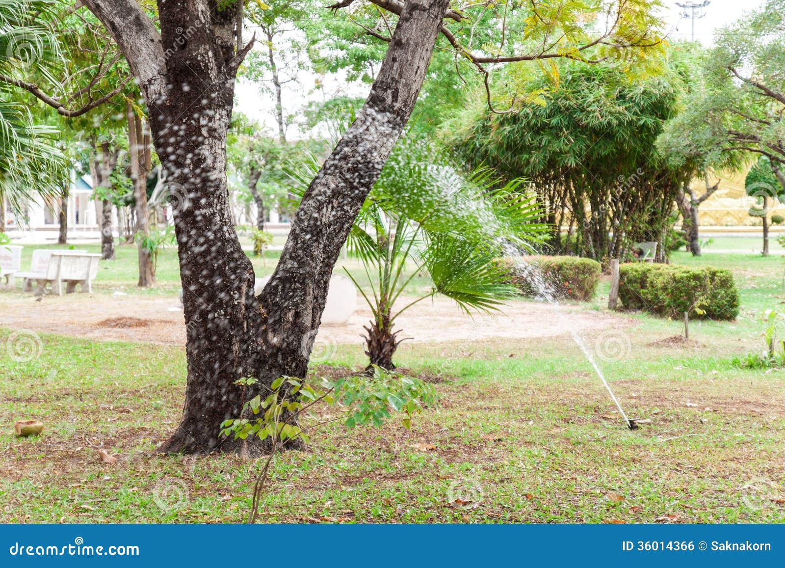Water springer turning stock photo. Image of water, springer - 36014366
