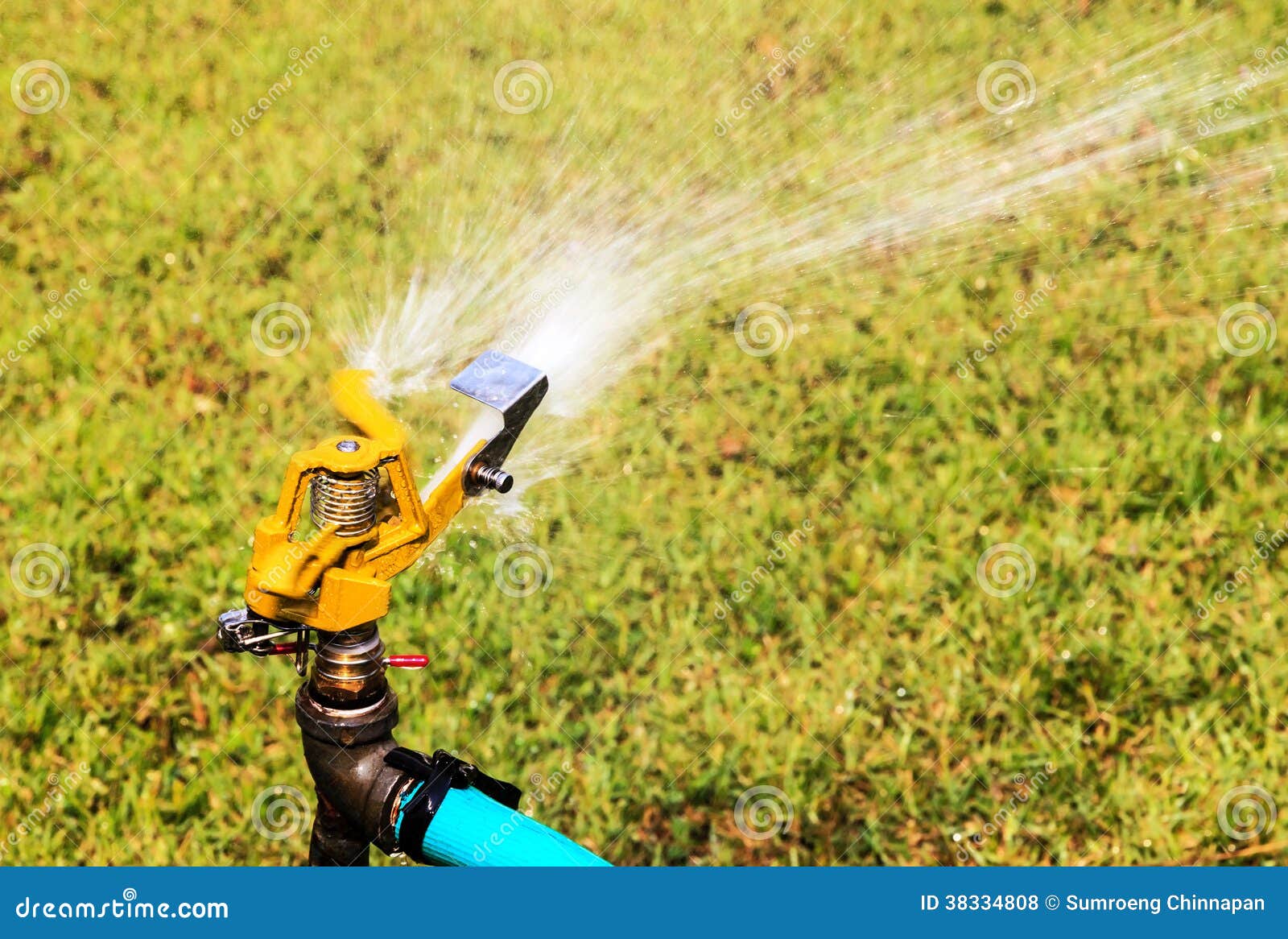 Water Springer for Watering the Plant Stock Photo - Image of field ...