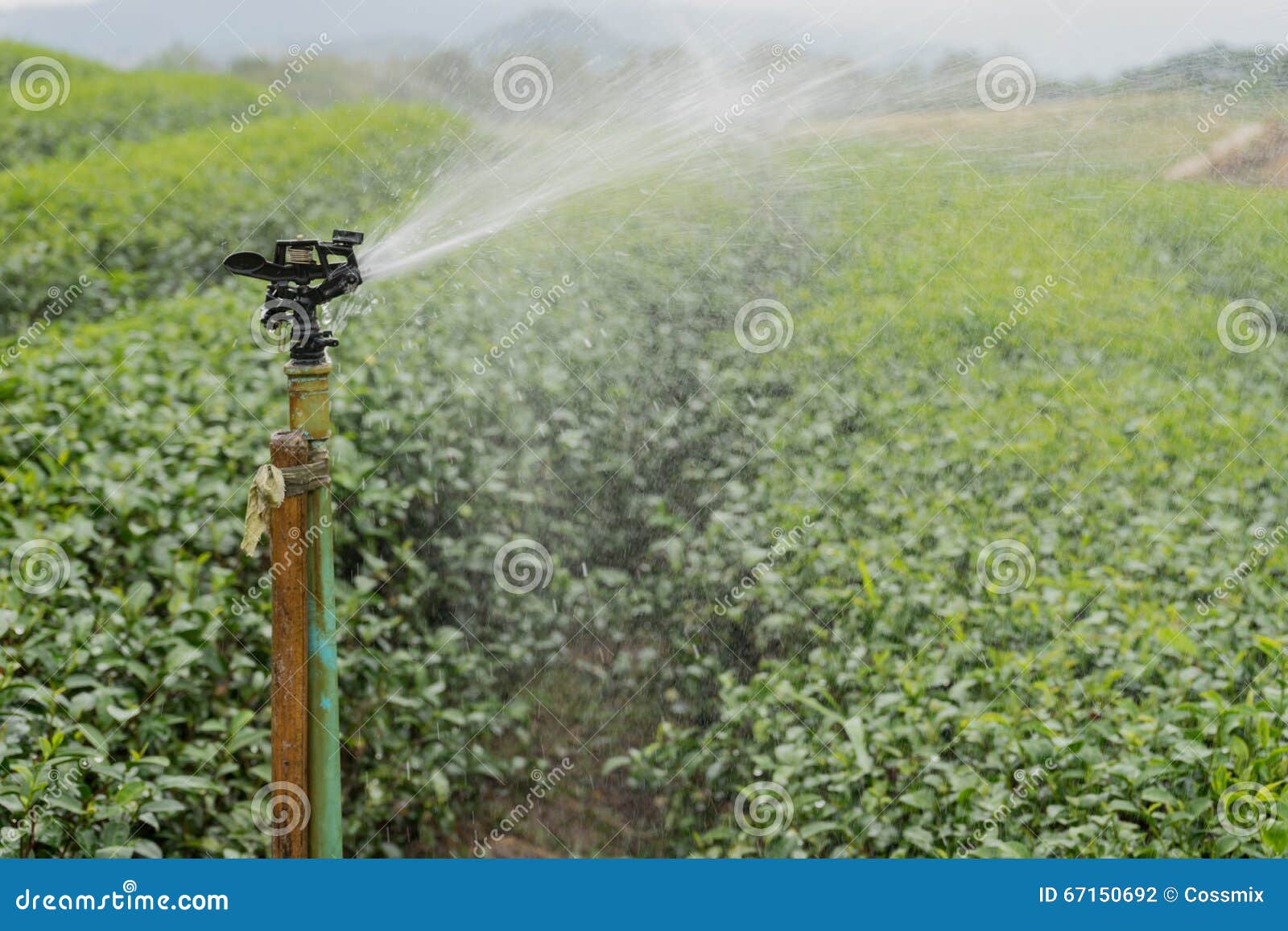 Water springer are working stock photo. Image of green - 67150692