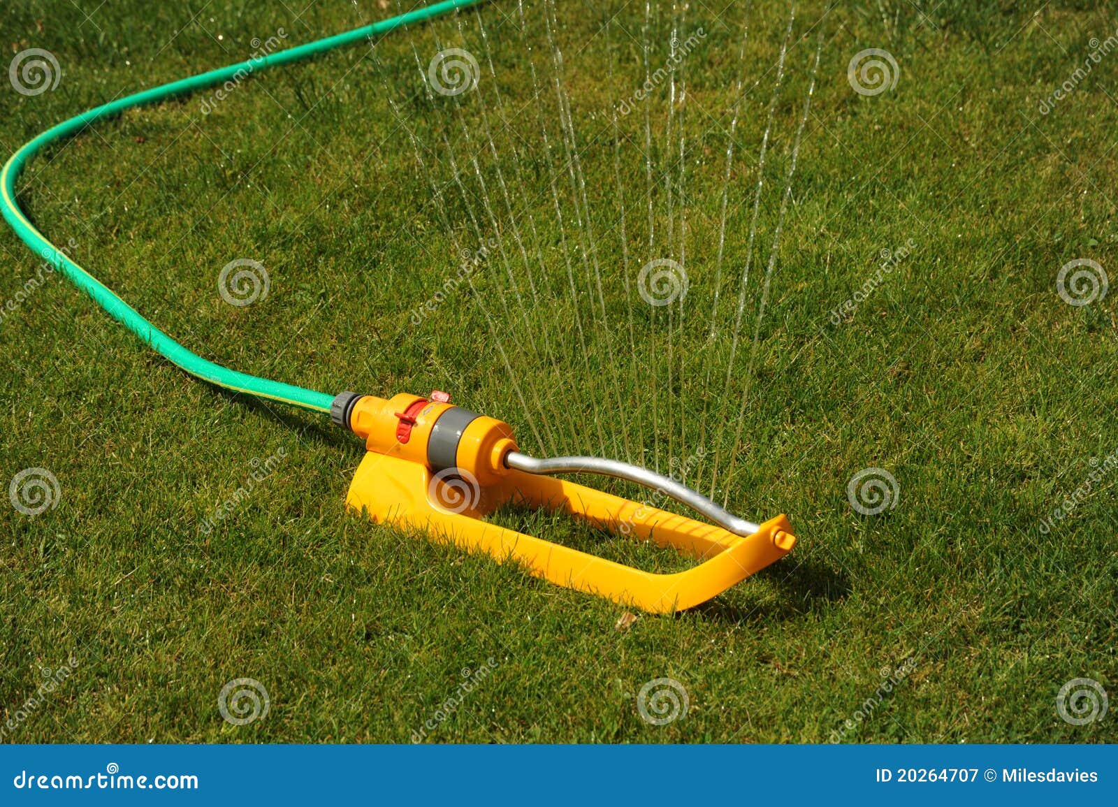 Water Sprinker stock image. Image of lawn, sprinkler - 20264707