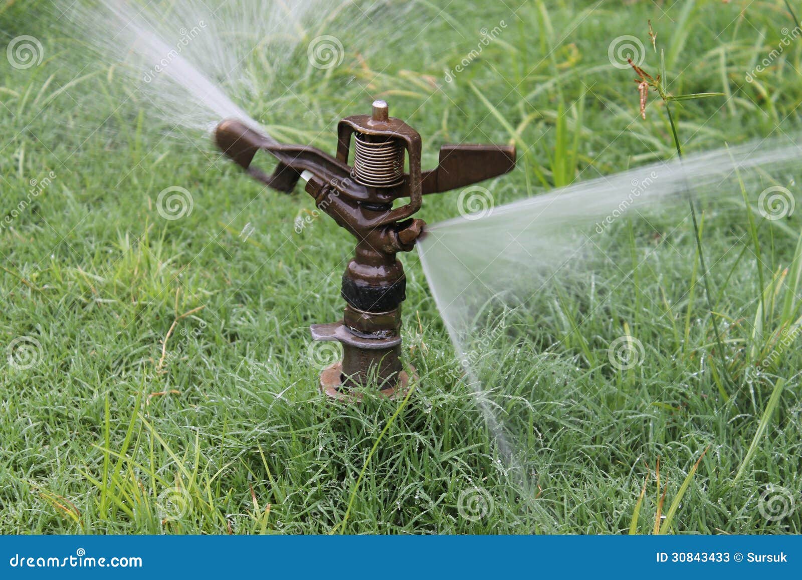 Water Sprinker stock image. Image of water, green, grass - 30843433