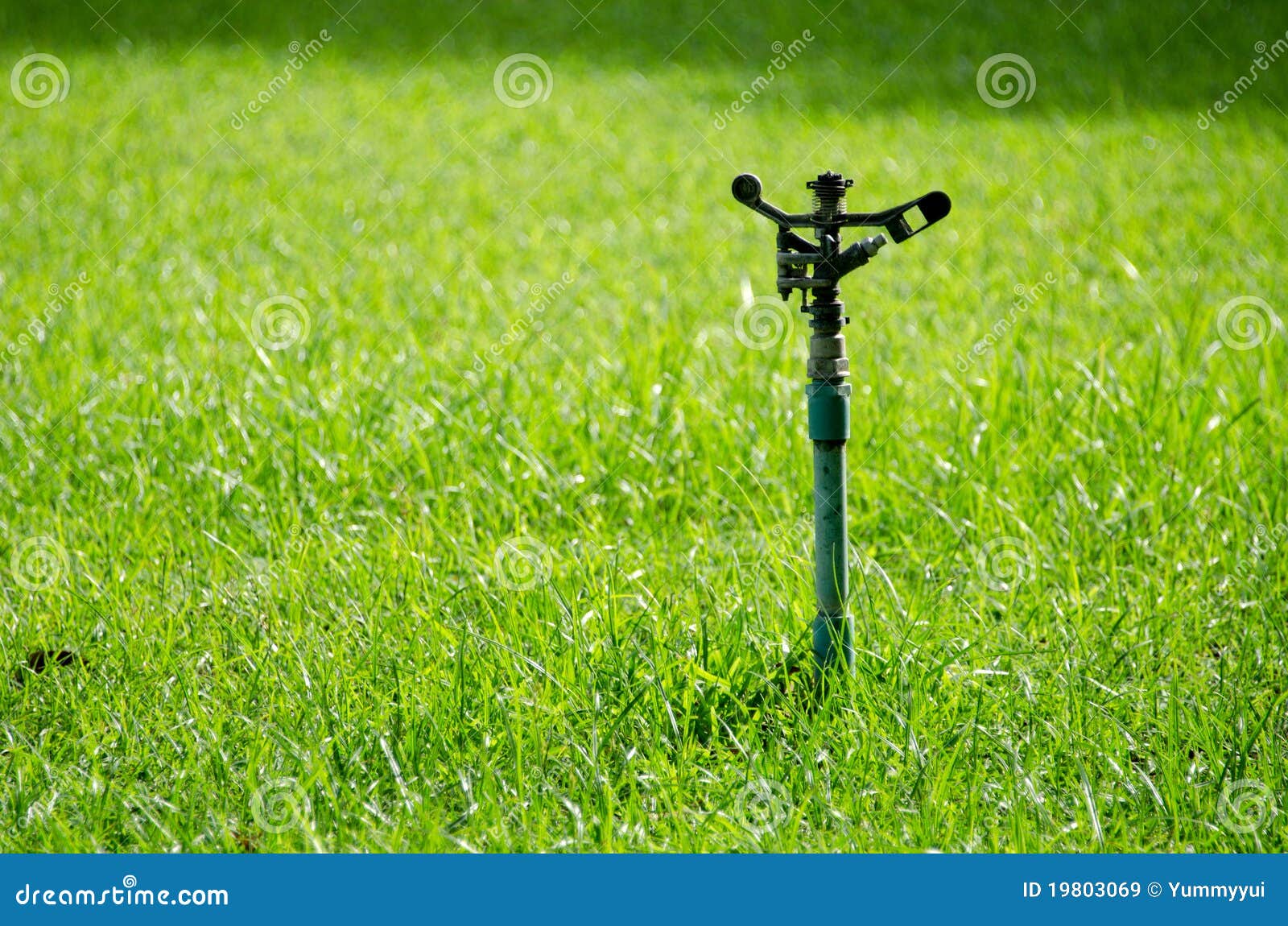 Water sprinkle stock image. Image of field, greenery - 19803069