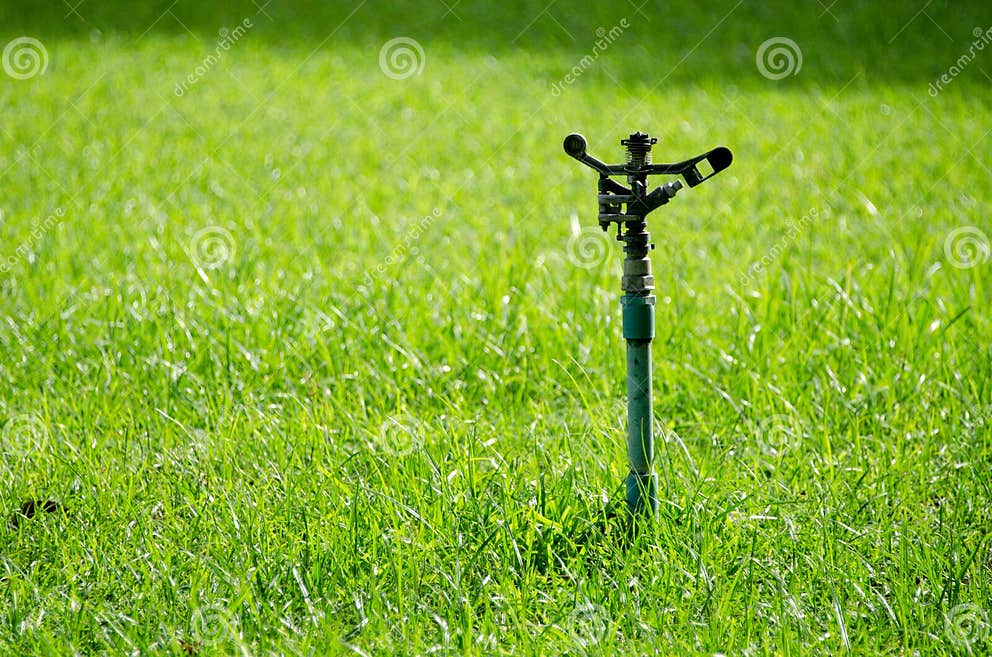 Water sprinkle stock image. Image of field, greenery - 19803069