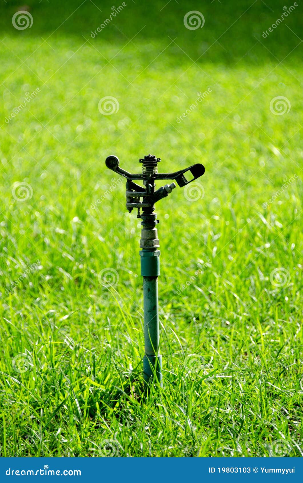 Water sprinkle stock image. Image of equipment, greenery - 19803103