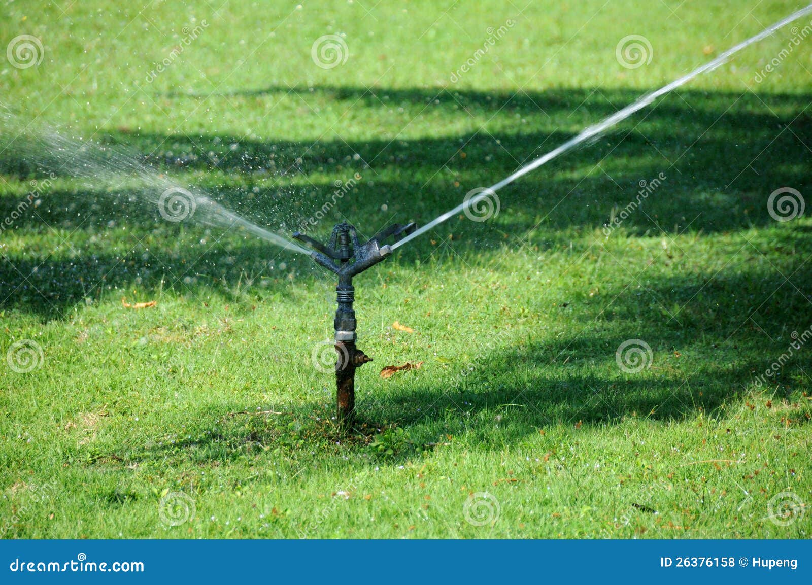 Water sprinkle stock photo. Image of hose, devices, gardens - 26376158