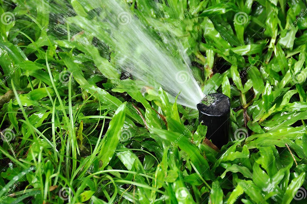 Water sprinkle stock image. Image of automated, farms - 26567029