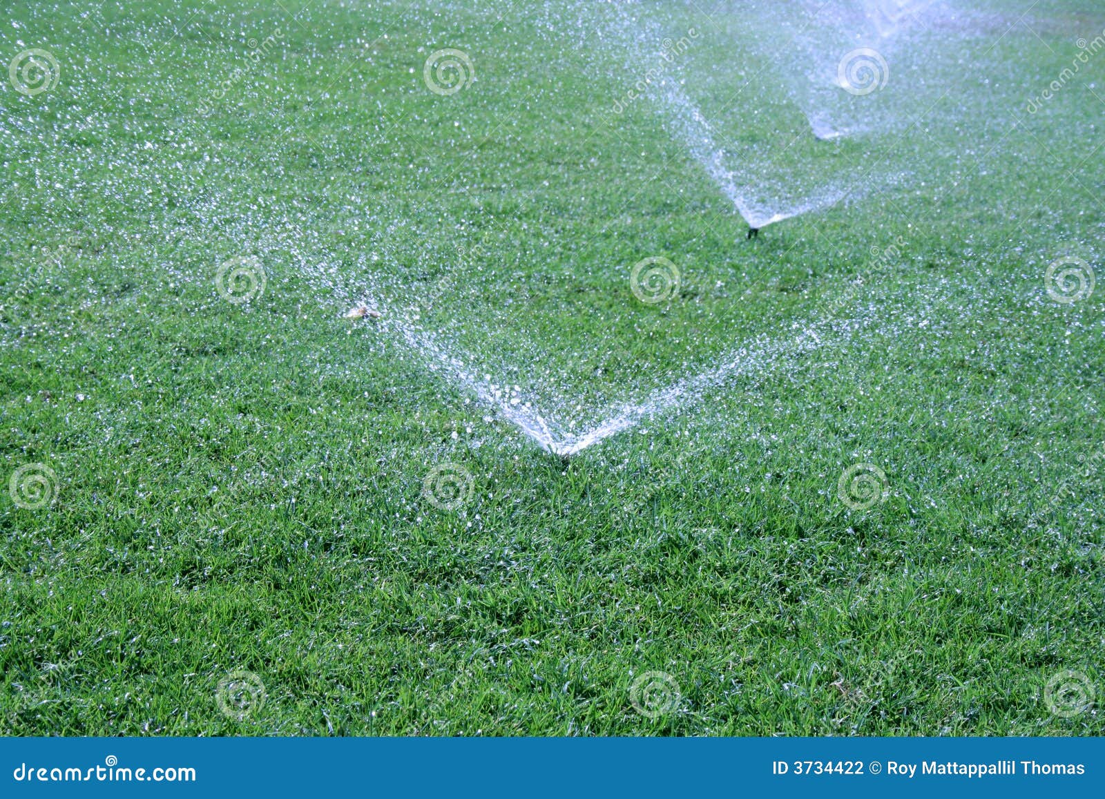 Water sprinkle stock photo. Image of water, sprinkle, green - 3734422