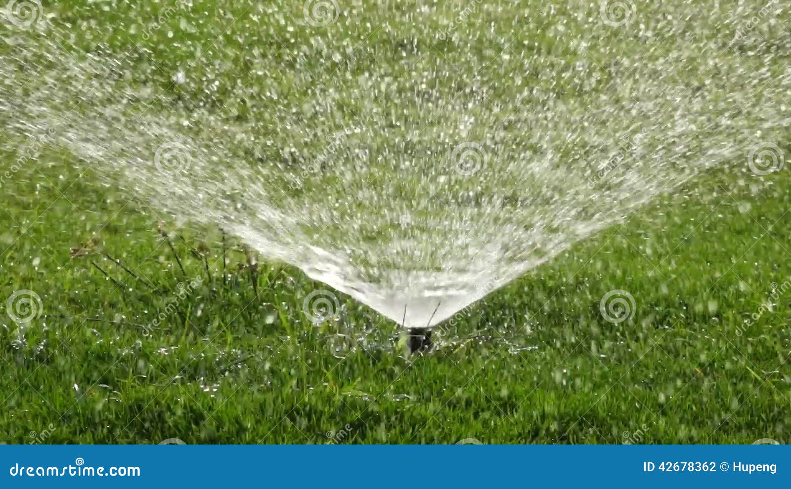 Water sprinkle stock footage. Video of irrigate, garden - 42678362