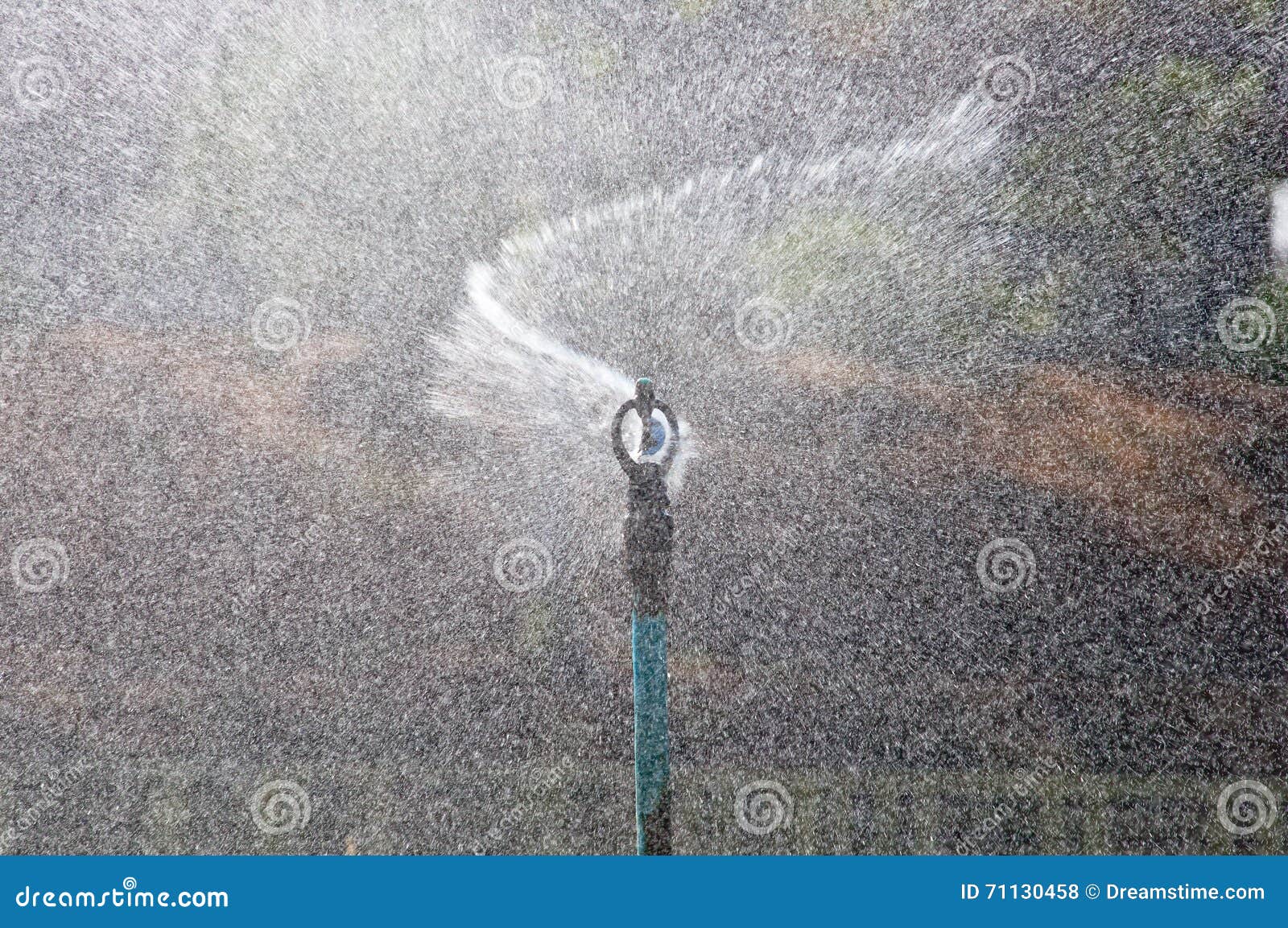 Water sprinkle stock photo. Image of garden, irrigate - 71130458
